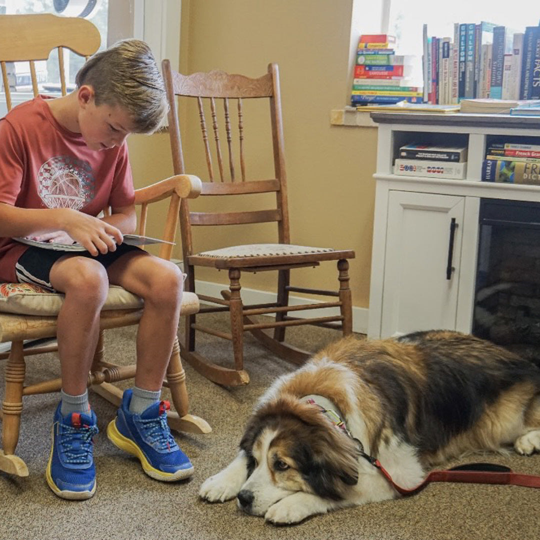 Meet Bonnie: The Canine Reading Buddy Changing the Way Kids Learn to L ...