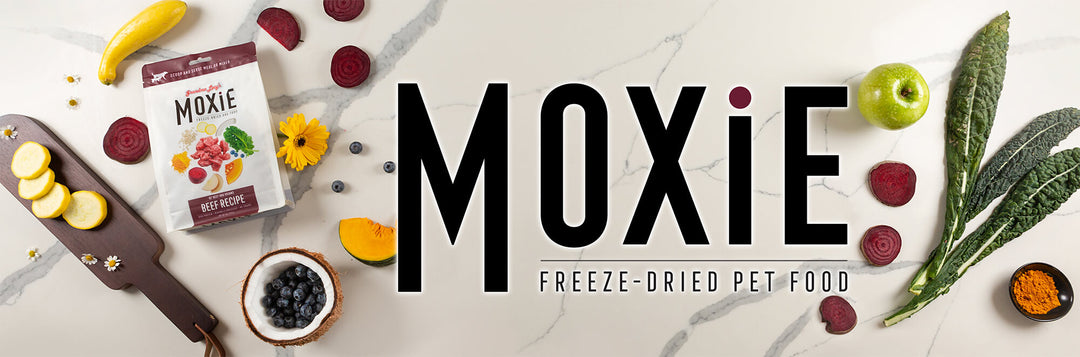 Moxie Dog Food – Grandma Lucy's